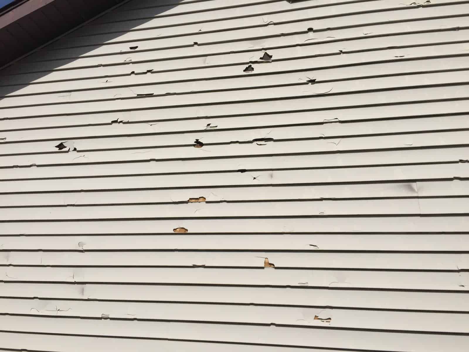 Detecting Critical Damaged Siding | Avsten Construction